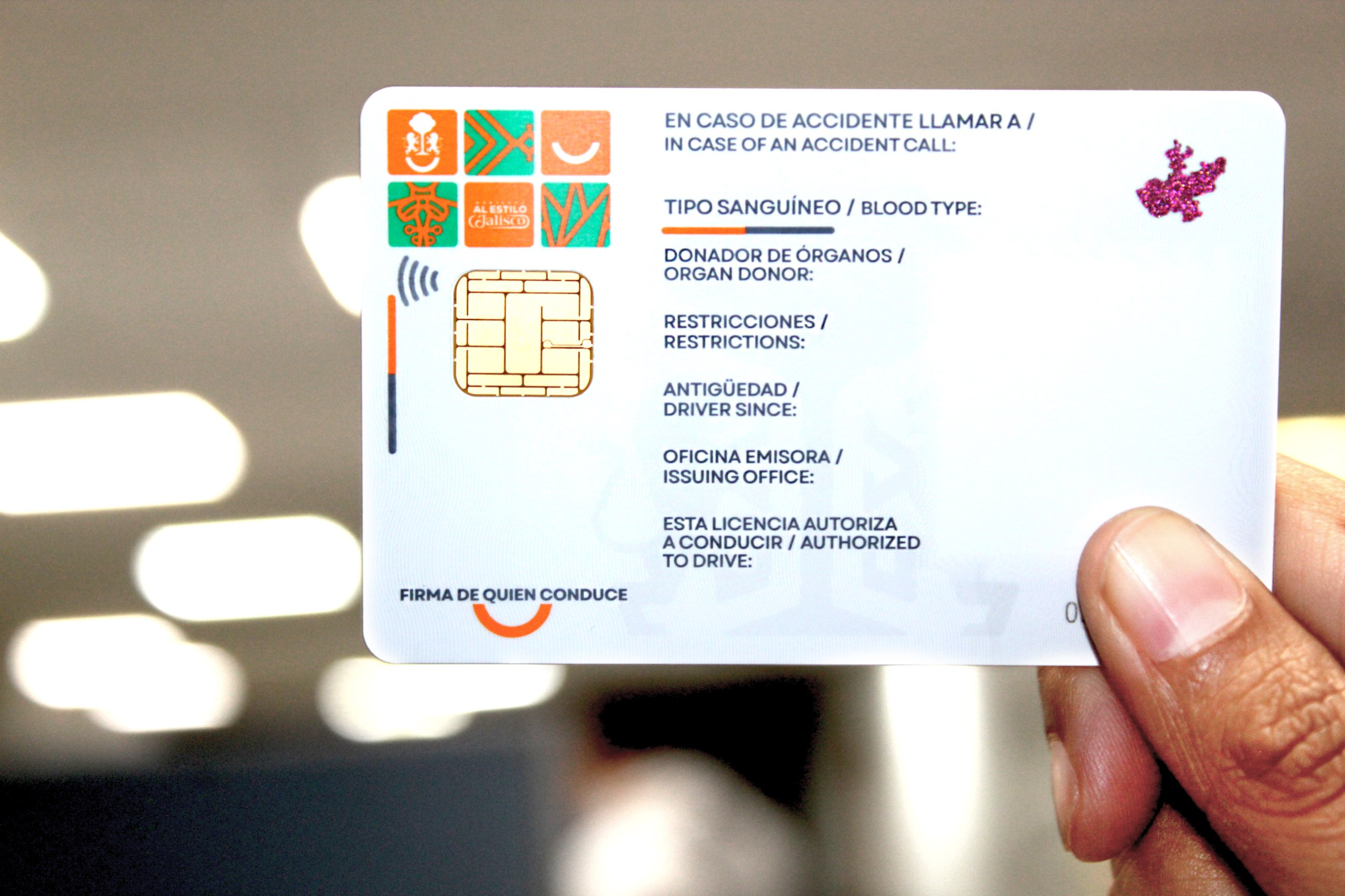 Presenta SETRAN nueva licencia de conducir bilingüe | Puerto Vallarta ...